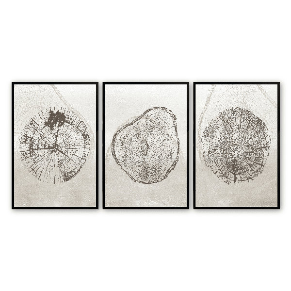 Rosecliff Heights Benji Beige Tree Ring Framed On Paper 3 Pieces Print ...