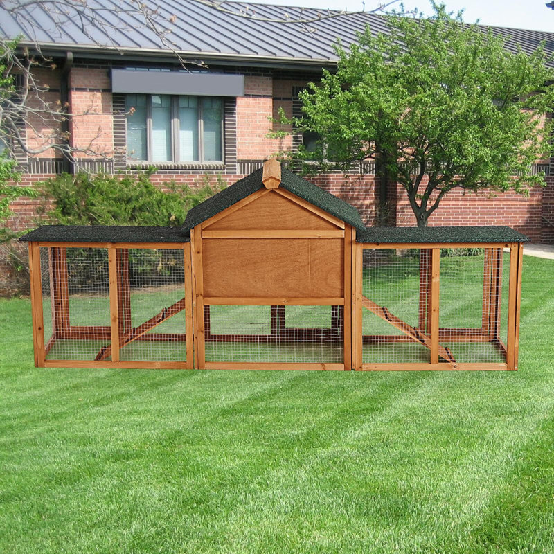 Archie & Oscar™ Wooden Rabbit Hutch, Outdoor Chicken Coop | Wayfair