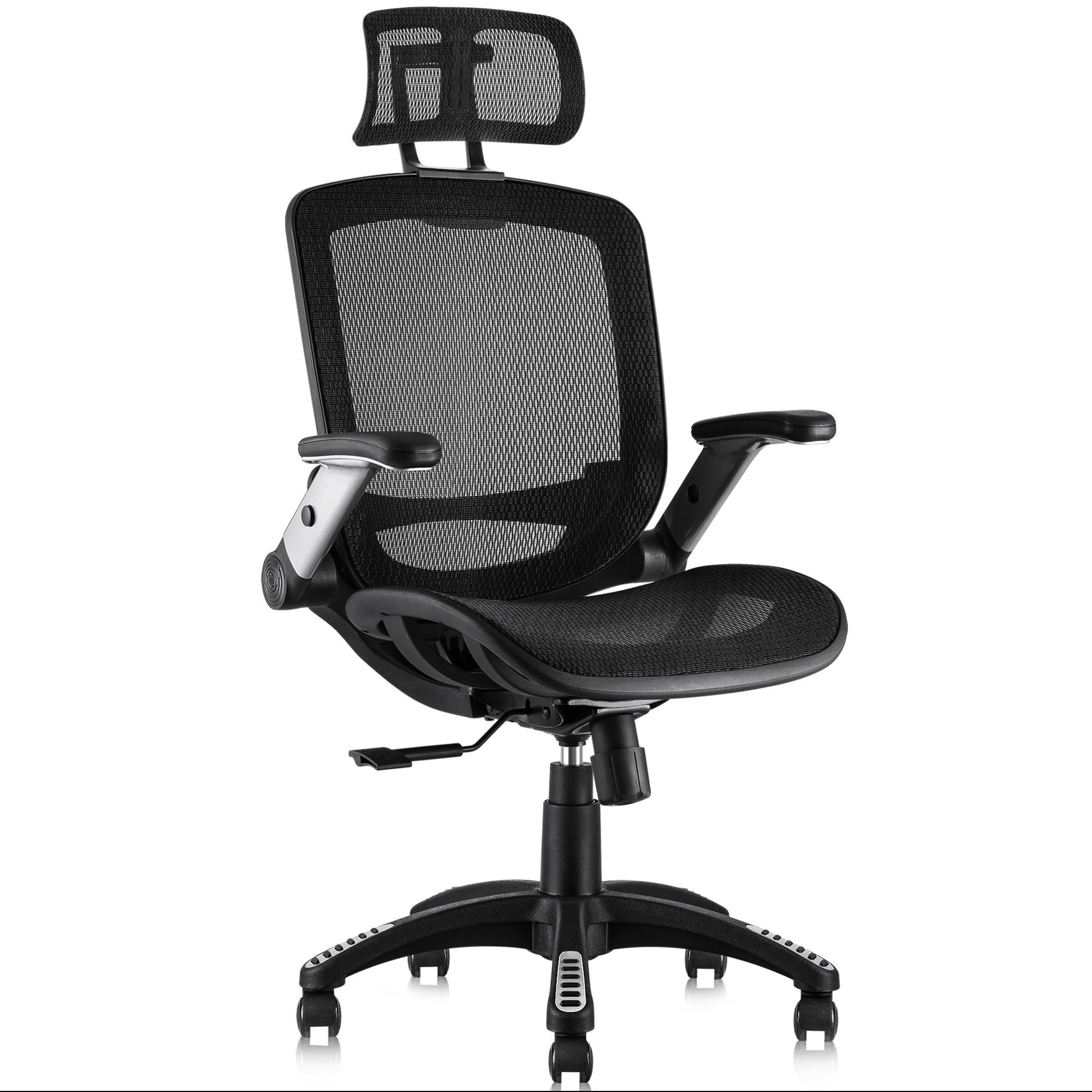 Inbox Zero Ergonomic Office Chair, High Back Home Desk Chair With ...