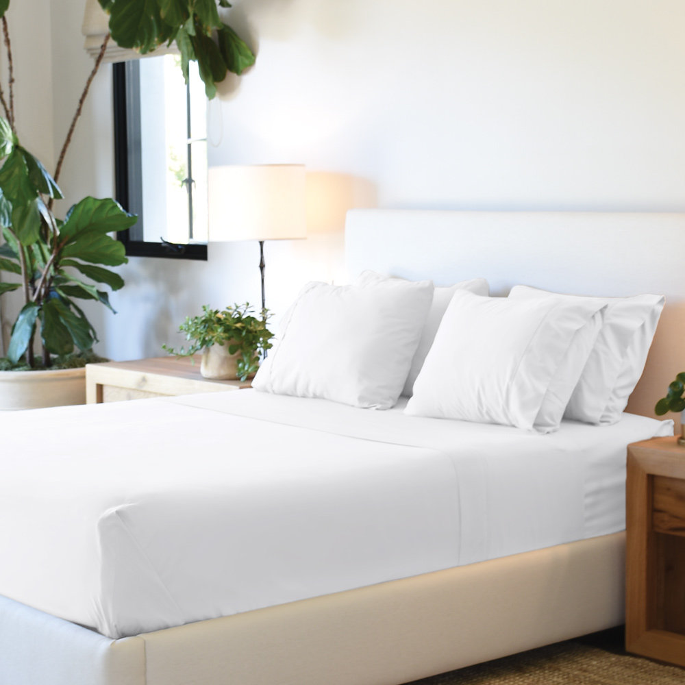 Jennifer Adams Home Eternal Luxury 4pc. Sheet Set & Reviews | Wayfair