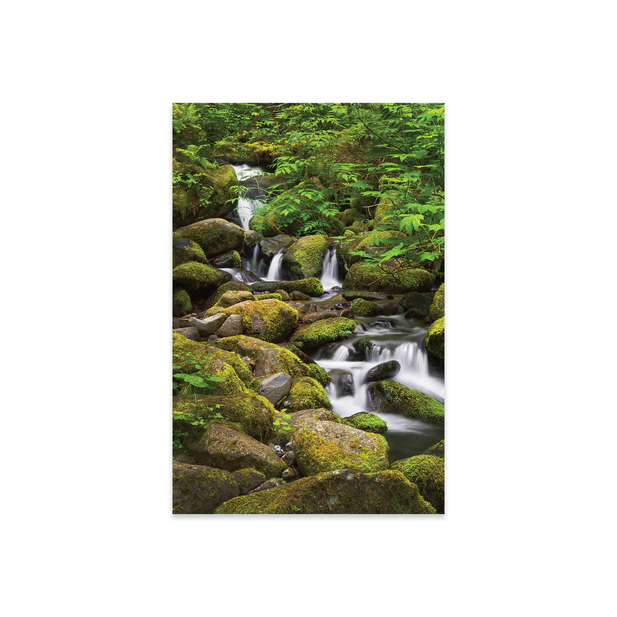 Millwood Pines USA, Oregon, Hood River, A Waterfall On Tish Creek On ...