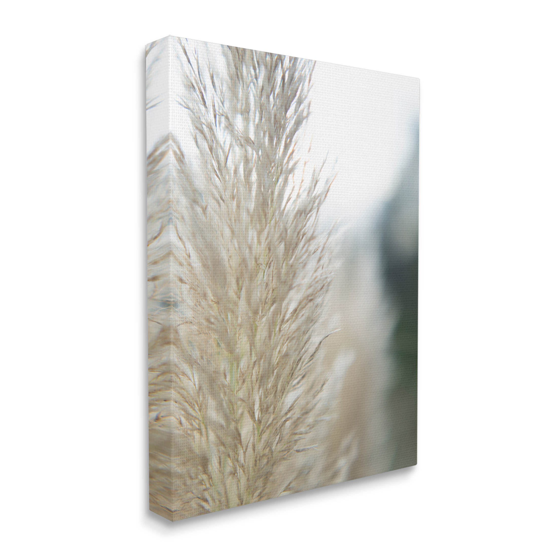 Latitude Run® Natural Pampas Grass Scene by Jason Johnson - Wrapped ...