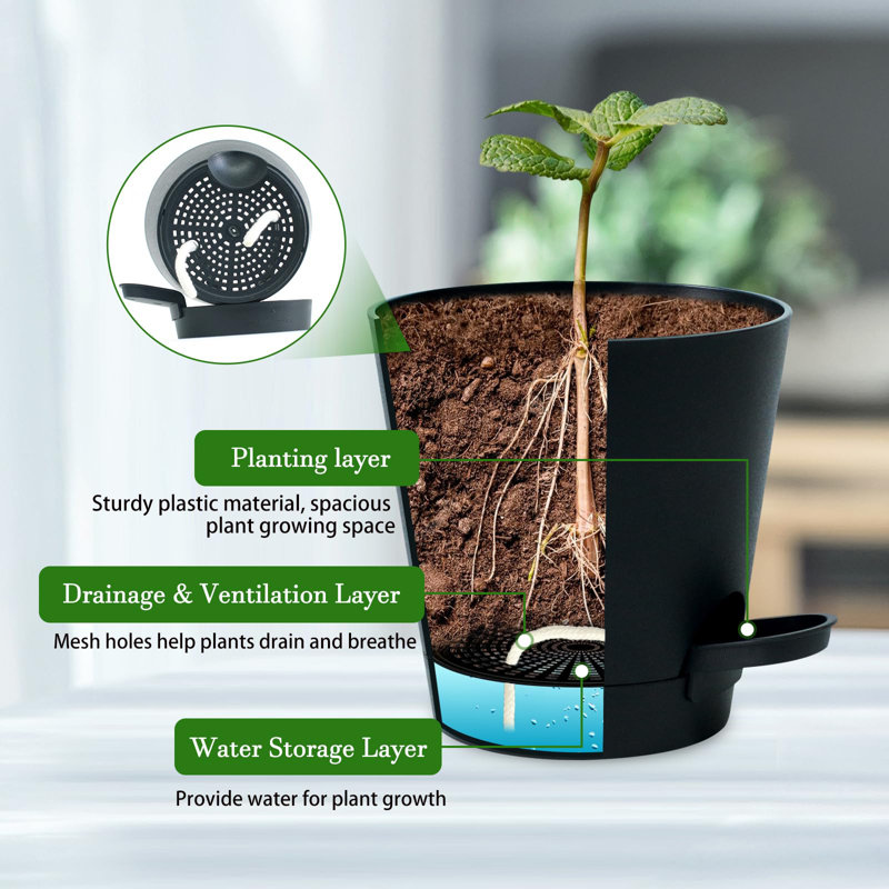 Latitude Run® 3 Sets Of Wall Planters, Hanging Wall Planter With Black ...