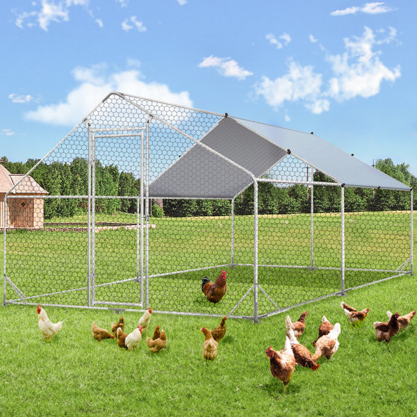 Tucker Murphy Pet™ Deryck 130' Walk In Chicken Run with Wire Mesh ...