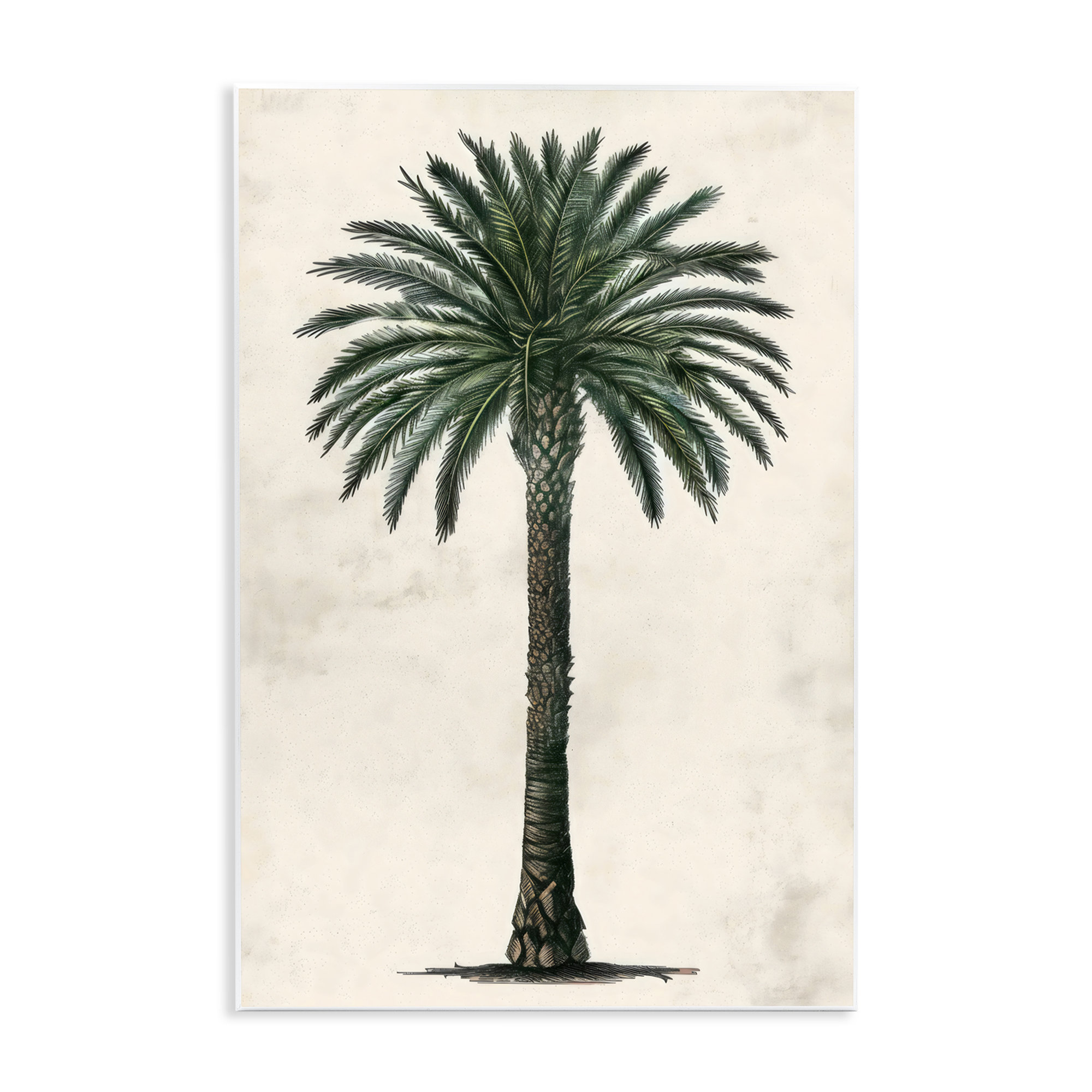 Bay Isle Home™ Botanical Rounded Palm Tree Wall Plaque, design by LSR ...