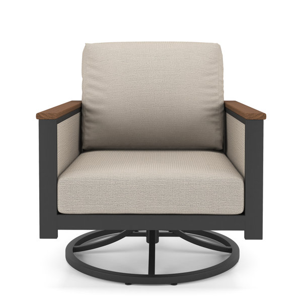 Birch Lane™ Townsend Metal Outdoor Swivel Rocking Chair with Sunbrella ...