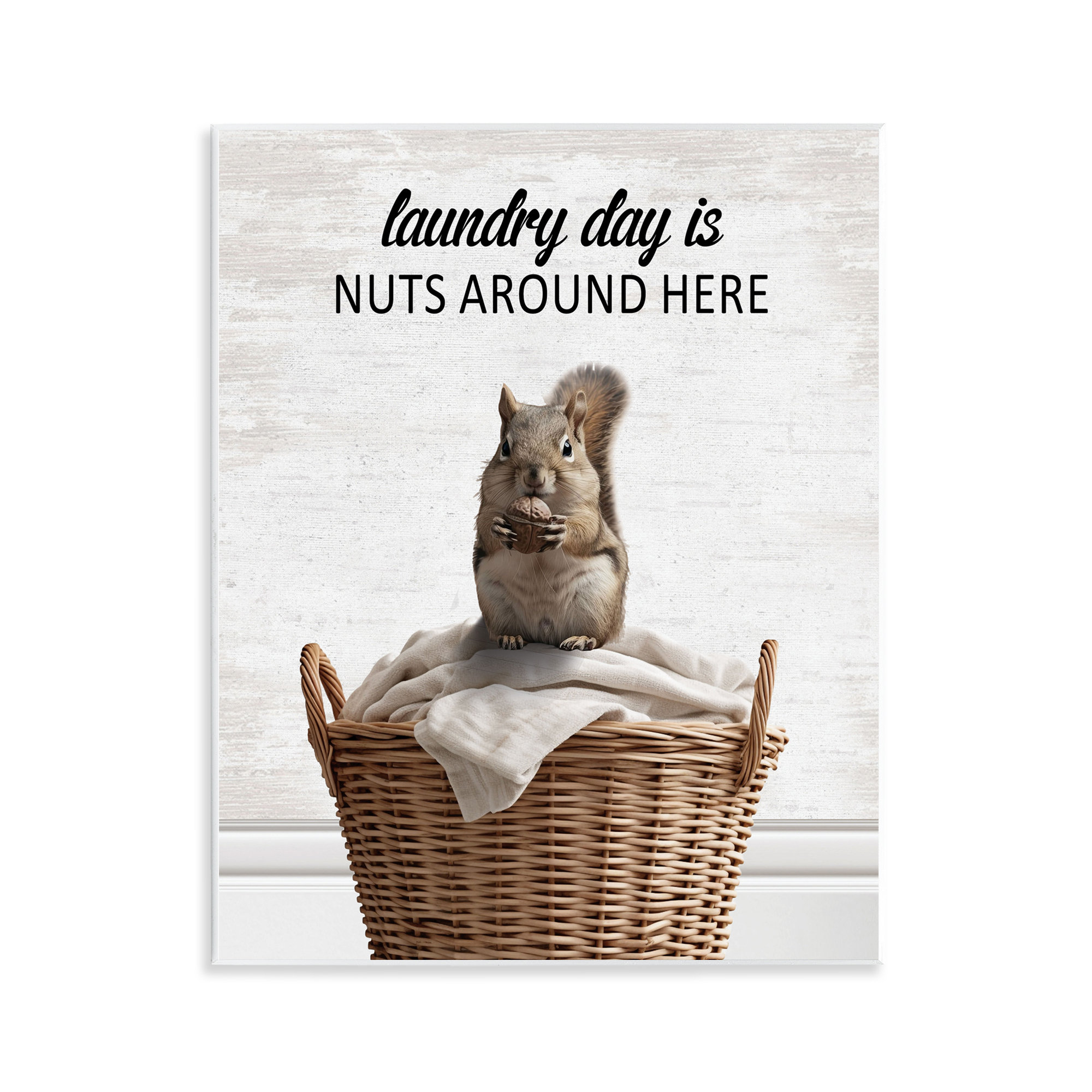 Ophelia & Co. Funny Laundry Day Is Nuts Wall Plaque, design by Lettered ...