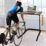 17 Stories Atlandida Adjustable Bike Trainer Desk, Treadmill Desk ...