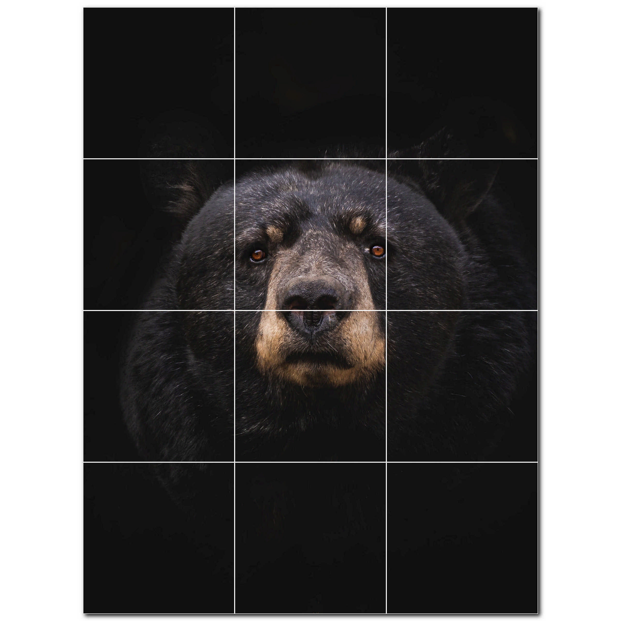 Picture-Tiles.com Bear Photo 6'' x 6'' Satin Ceramic Decorative Mural ...