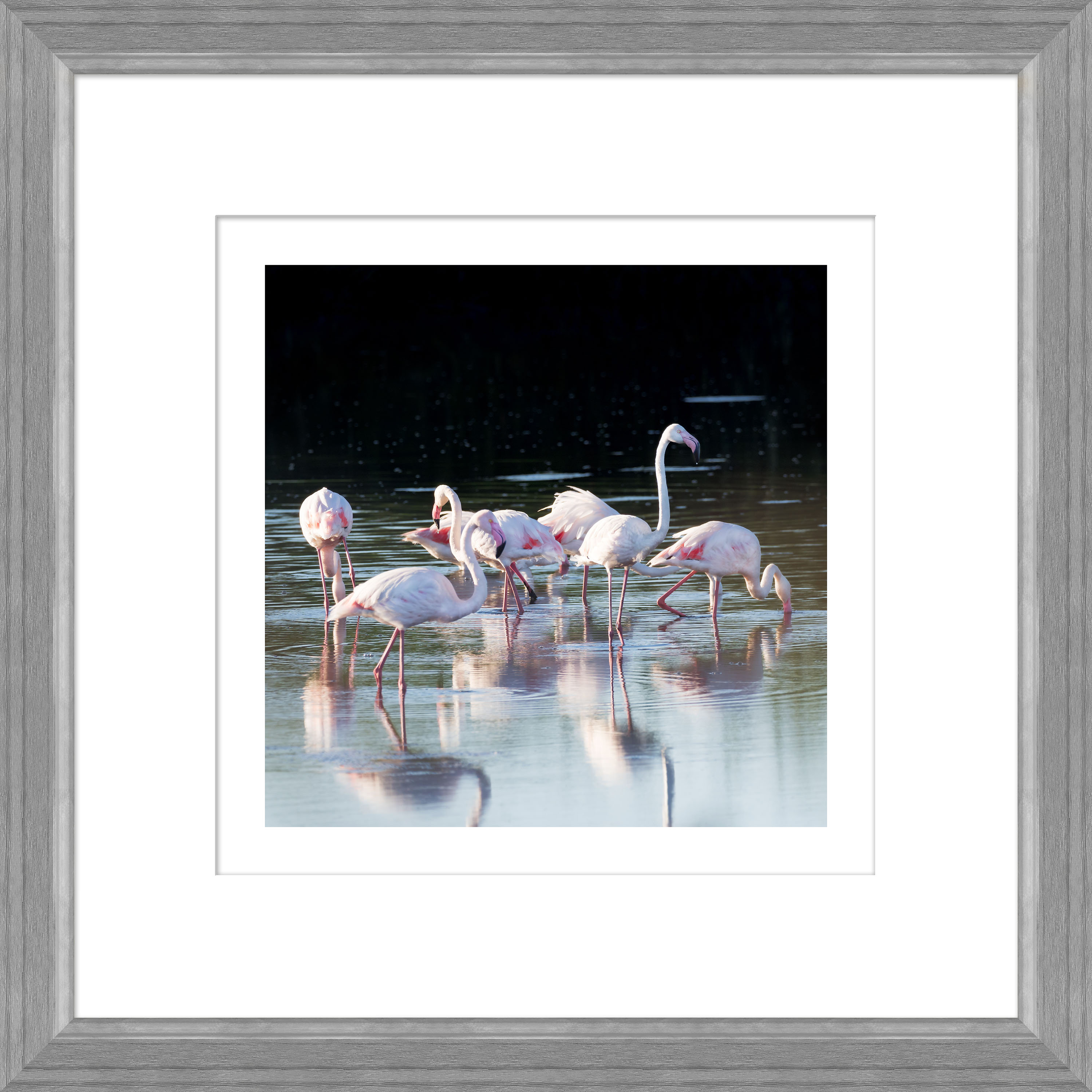 Soicher Marin Pink Flamingos - Picture Frame Photograph on Paper ...