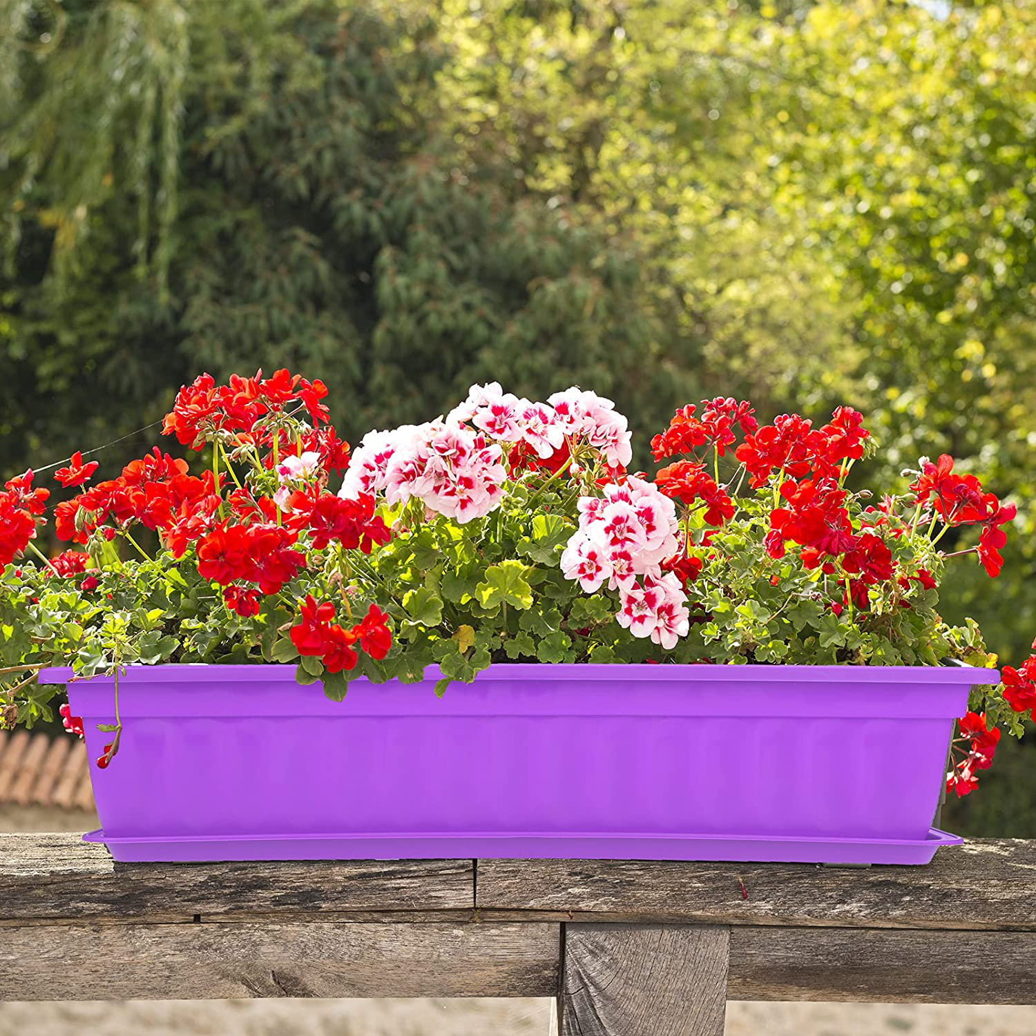 Arlmont & Co. Nicoletta Plastic Window Box Planter | Wayfair