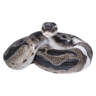 Hi-Line Gift Ltd. REGIUS BALL PYTHON STATUE & Reviews | Wayfair