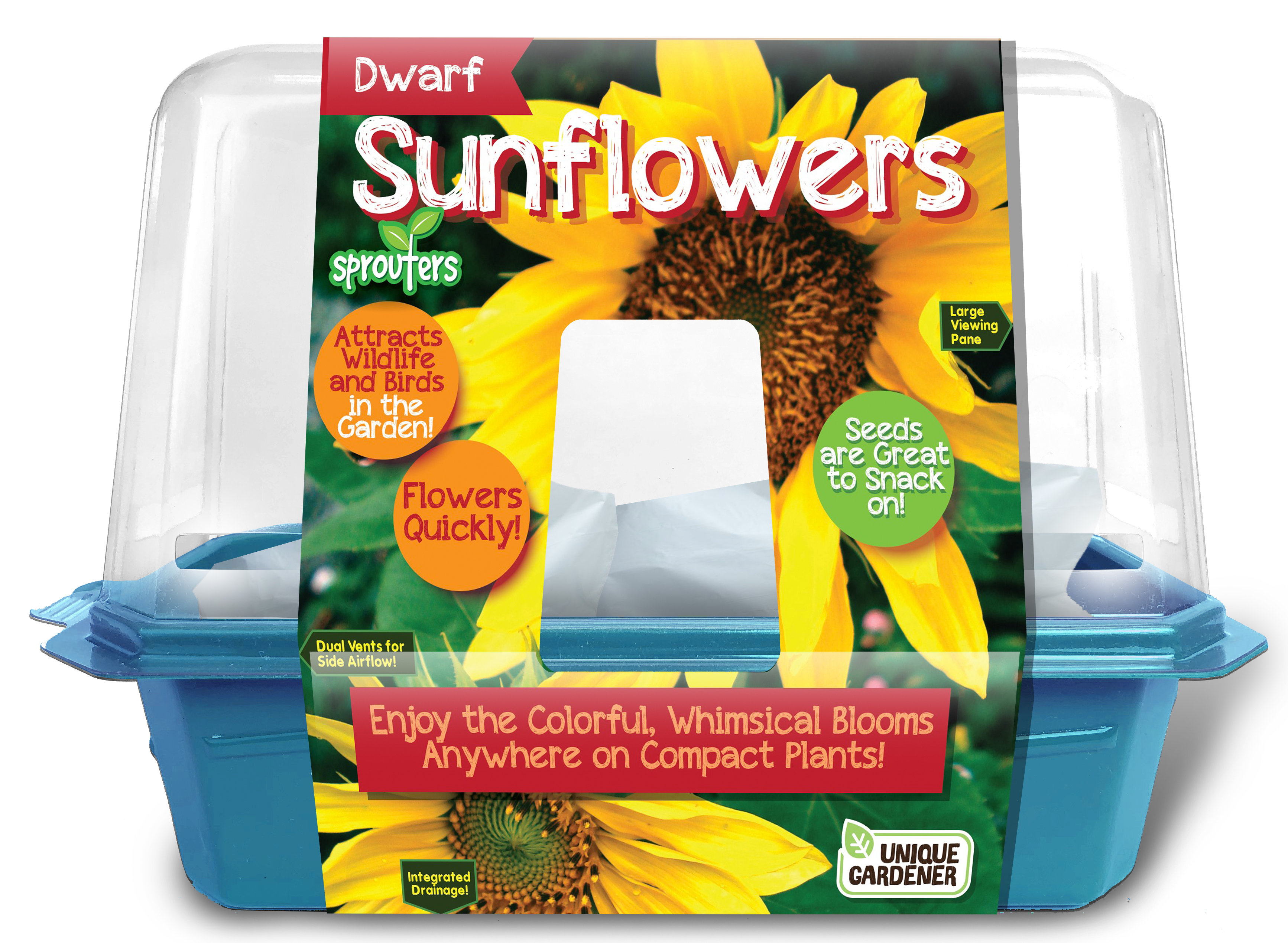 Silver Circle Products Dwarf Sunflowers Growing Kit | Wayfair