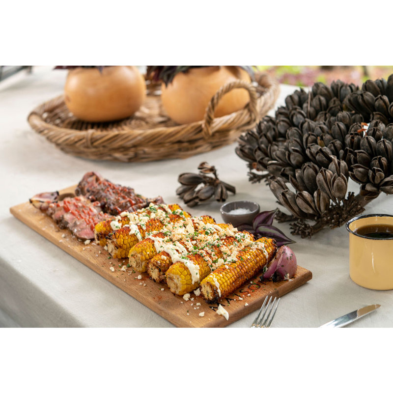 Megamaster 2 Burner Tabletop Gas Grill & Reviews | Wayfair