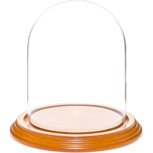 Cloche | Wayfair