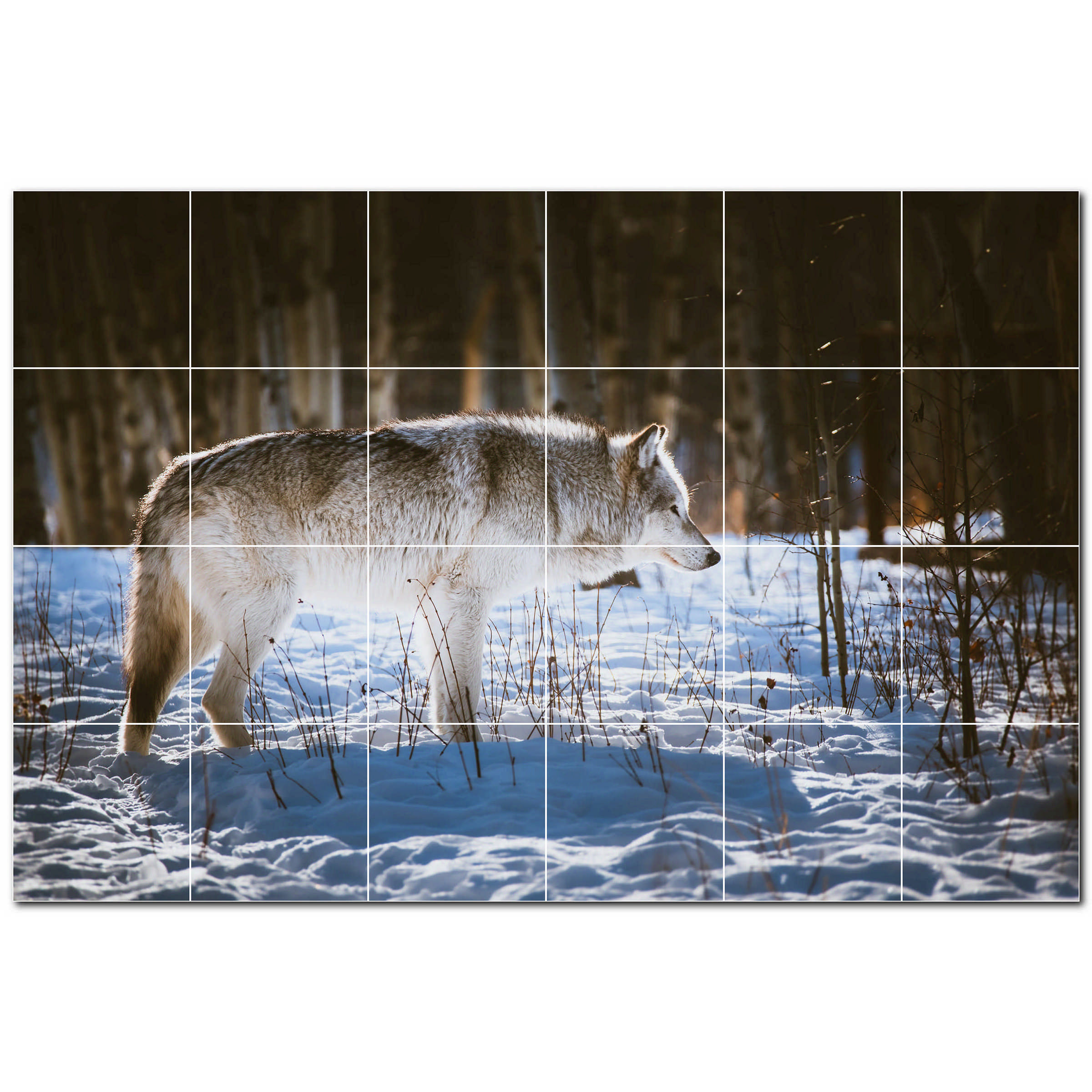Picture-Tiles.com Wolf Photo 6 x 6 | Wayfair