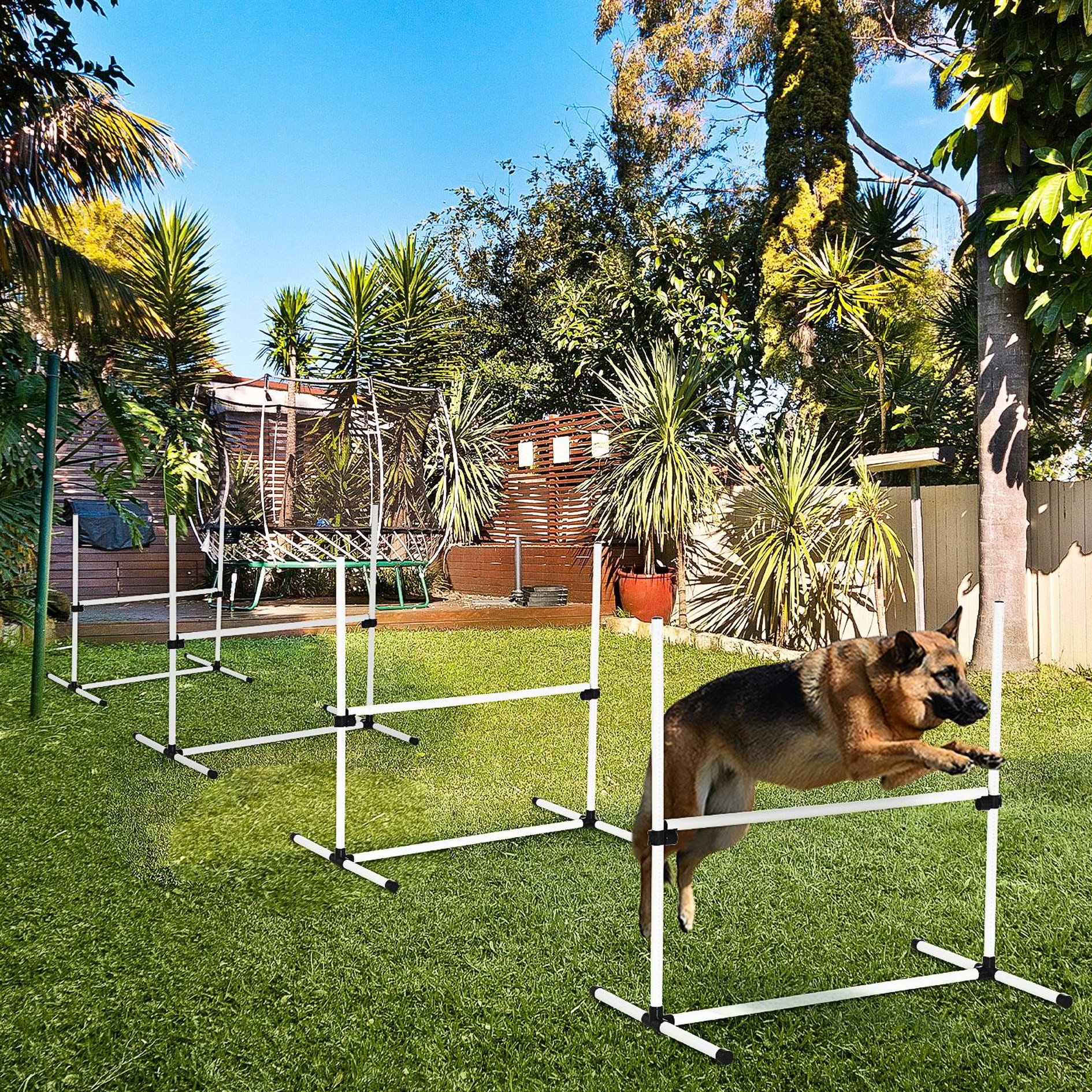 Tucker Murphy Pet™ Dog Agility Training Equipment - 4 Piece With ...