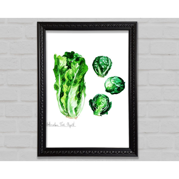 Bright Star Cabbage - Single Picture Frame Art Prints | Wayfair.co.uk