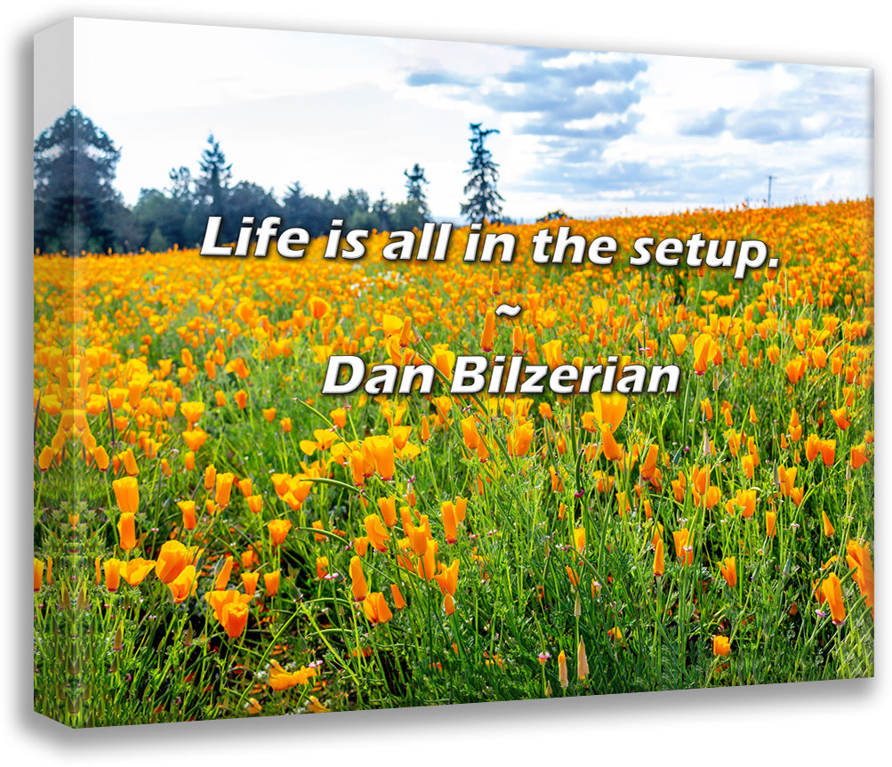 the setup dan bilzerian