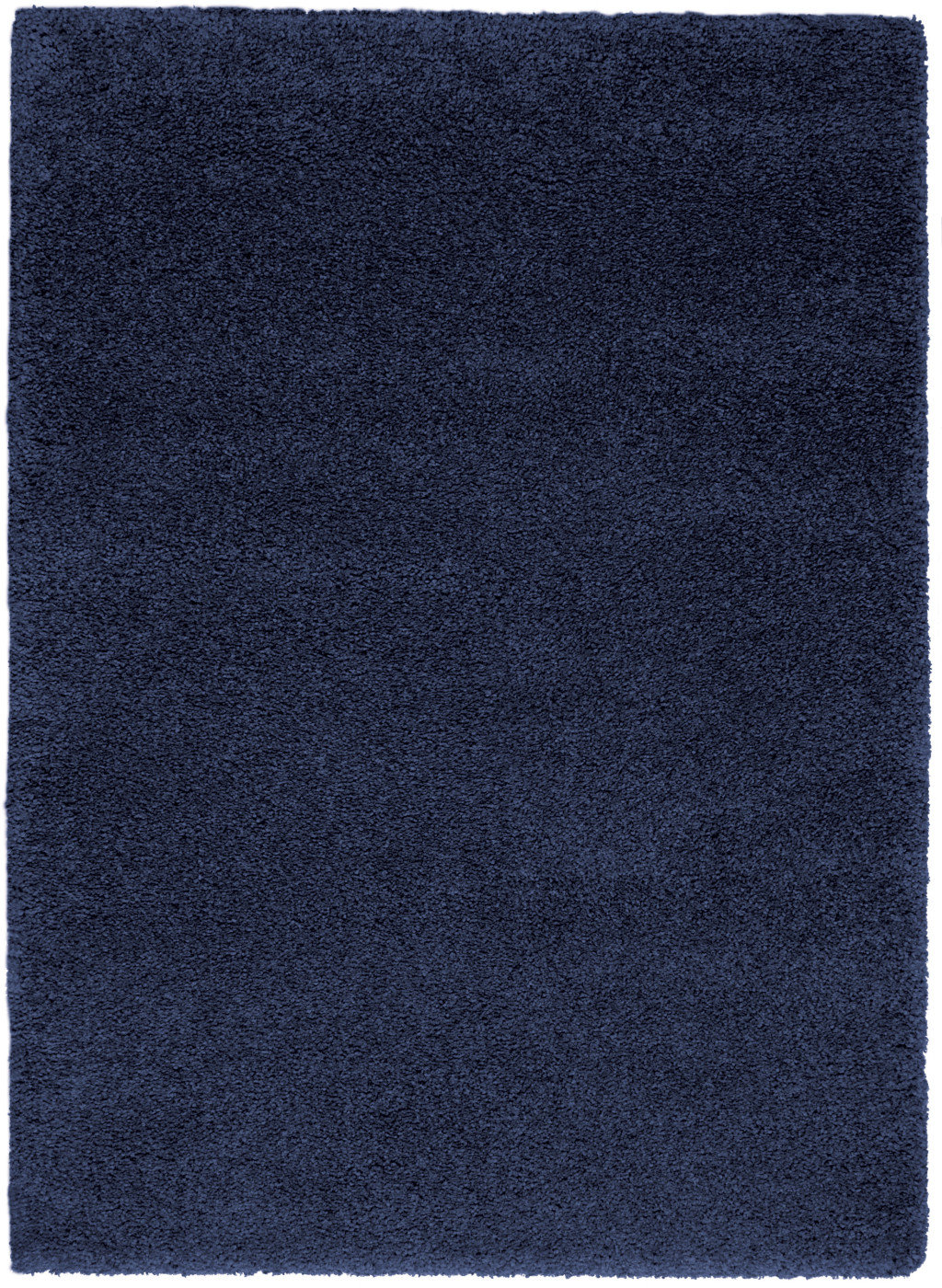 HomeRoots 5' X 7' Blue Shag Area Rug | Wayfair