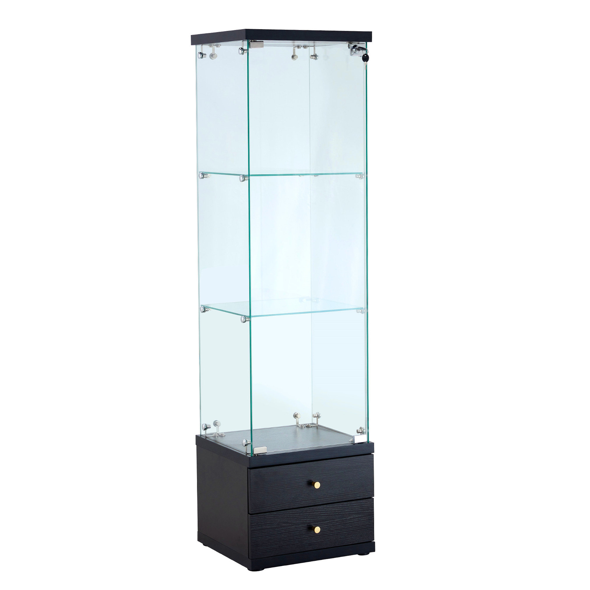 Latitude Run® American-Style Non-Lit Glass Display Cabinet with ...