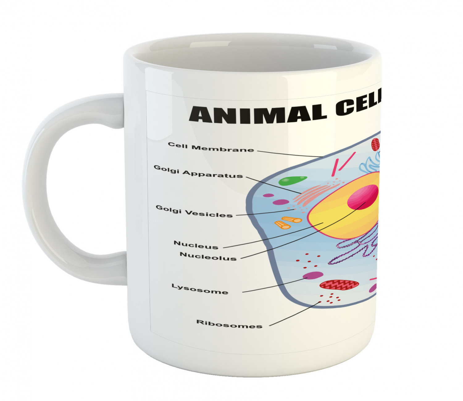 East Urban Home Educational Coffee Mug | Wayfair