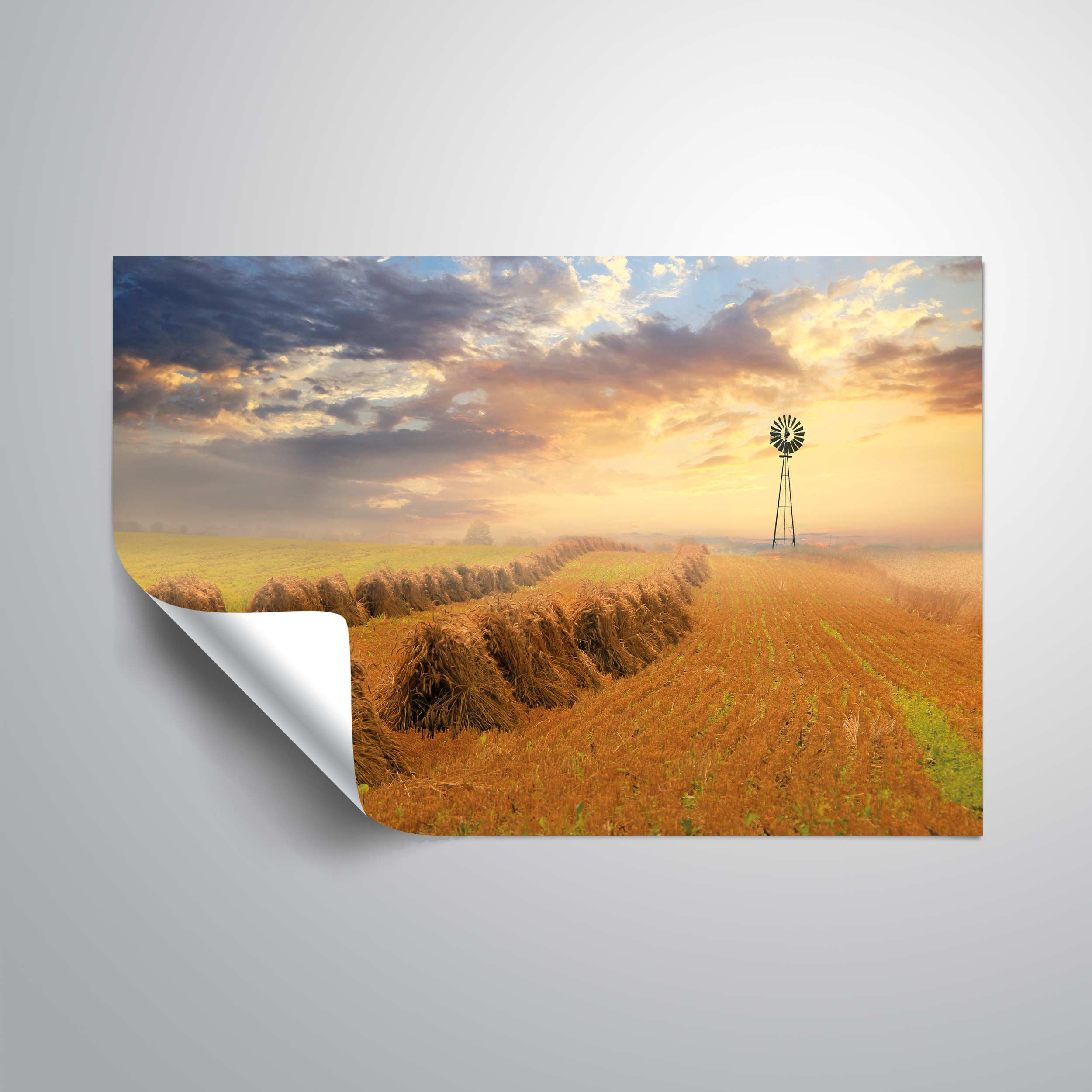 August Grove® Saville 'Amish Country Sunrise' Removable Wall Decal ...