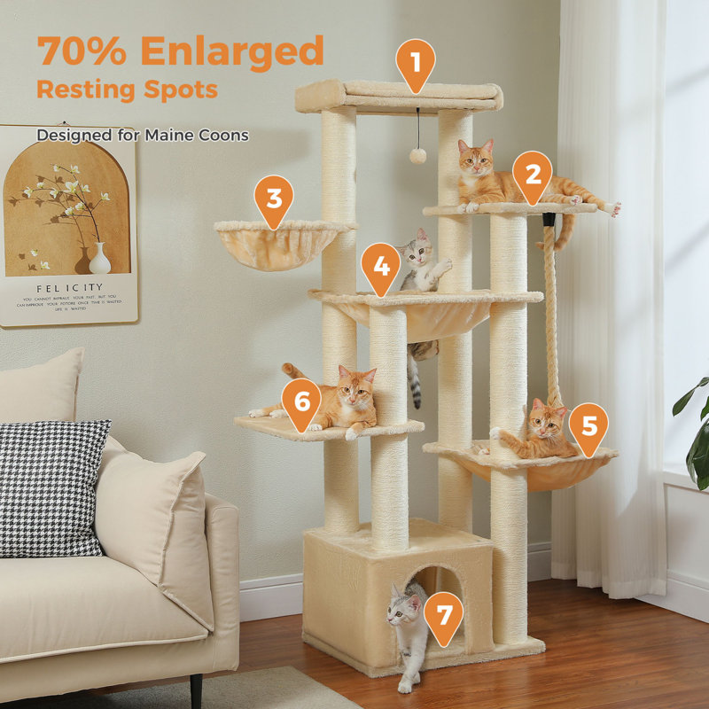 Archie & Oscar™ 66.5” Multi-tier cat tree | Wayfair