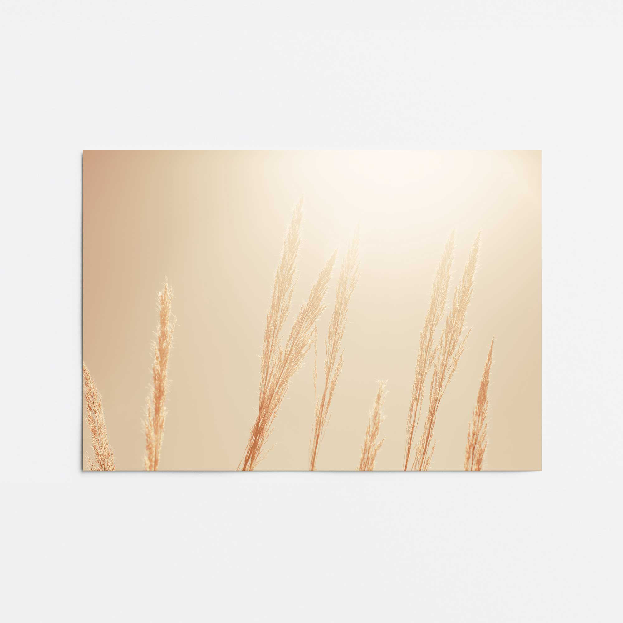 Latitude Run® Basking in Light Print in a Frame | Wayfair