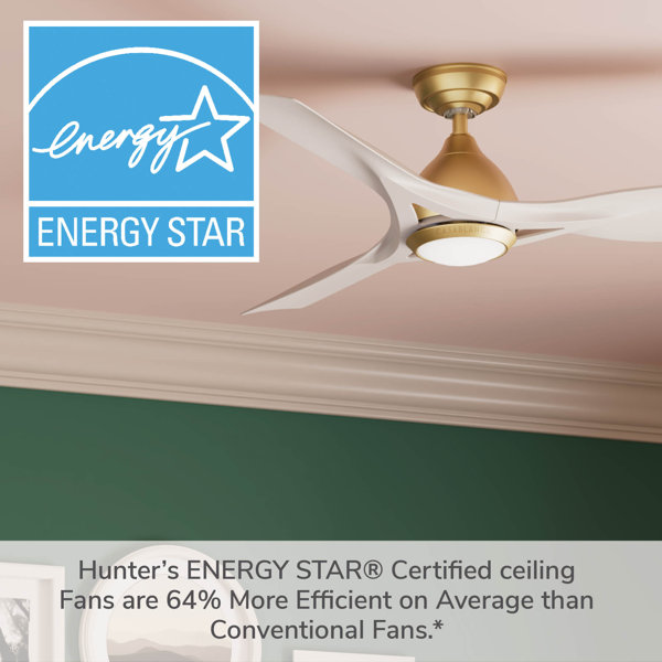 Casablanca Fan Casablanca 54 inch Elise ENERGY STAR® Damp Rated Ceiling ...