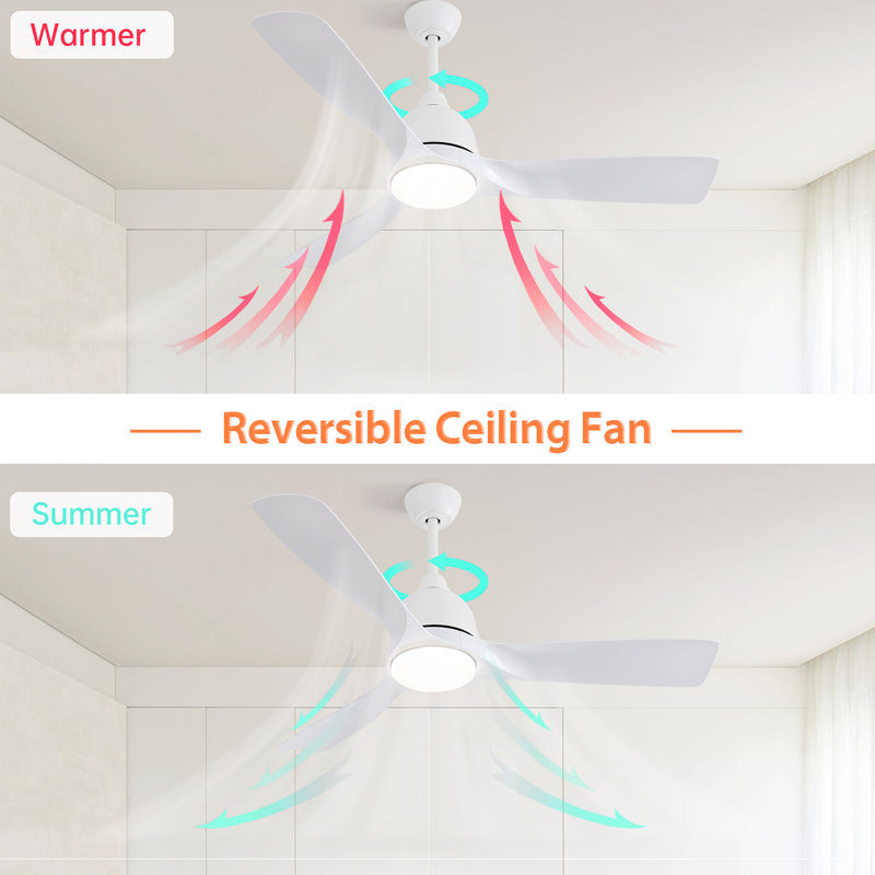 Ivy Bronx 54 Inch 6 Speed Ceiling Fan Reversible DC Motor With 3 ABS ...