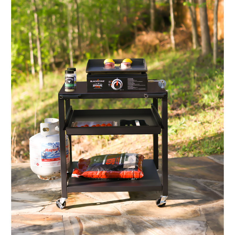 NUUK Grill Rack & Reviews | Wayfair