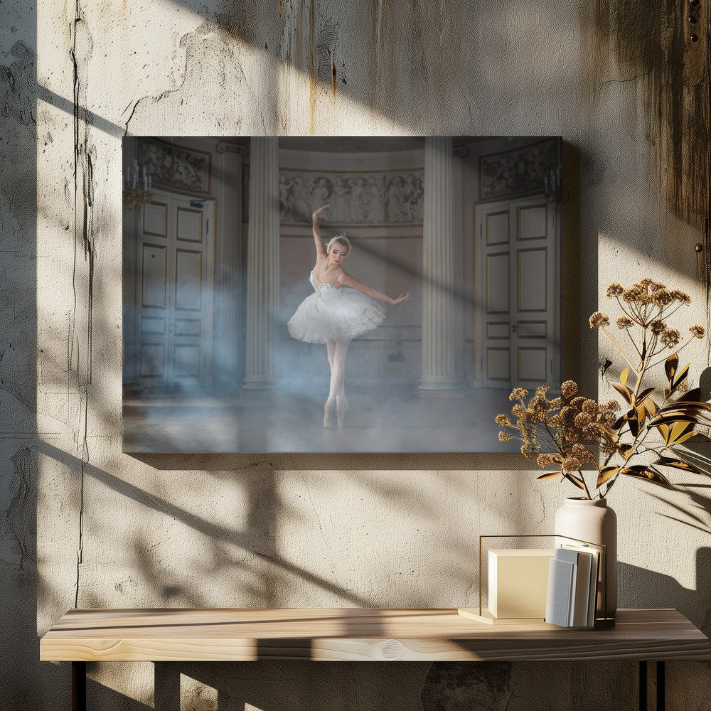 Rosdorf Park Ballerina Canvas Print | Wayfair.co.uk