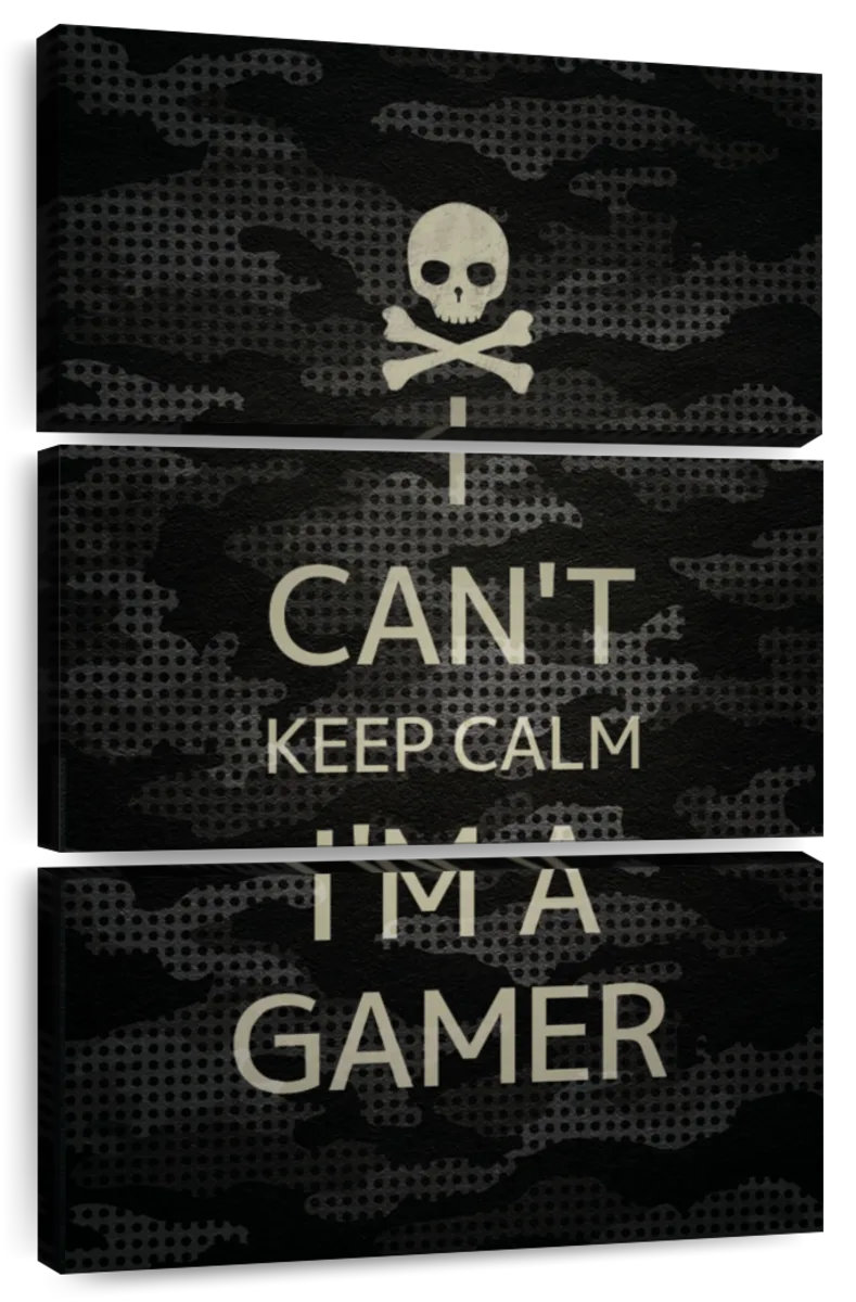 Trinx Kema Can't Keep Calm Gamer Quote | Wayfair