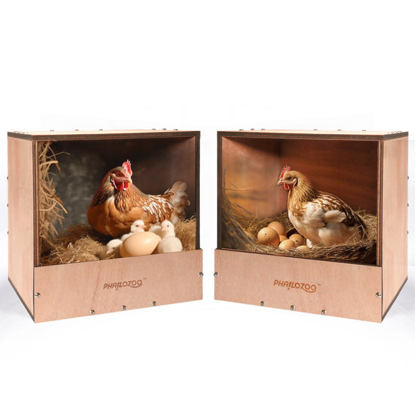 Phailozoo Chicken Double Nesting Boxes, Single Compartment Wood Nesting ...