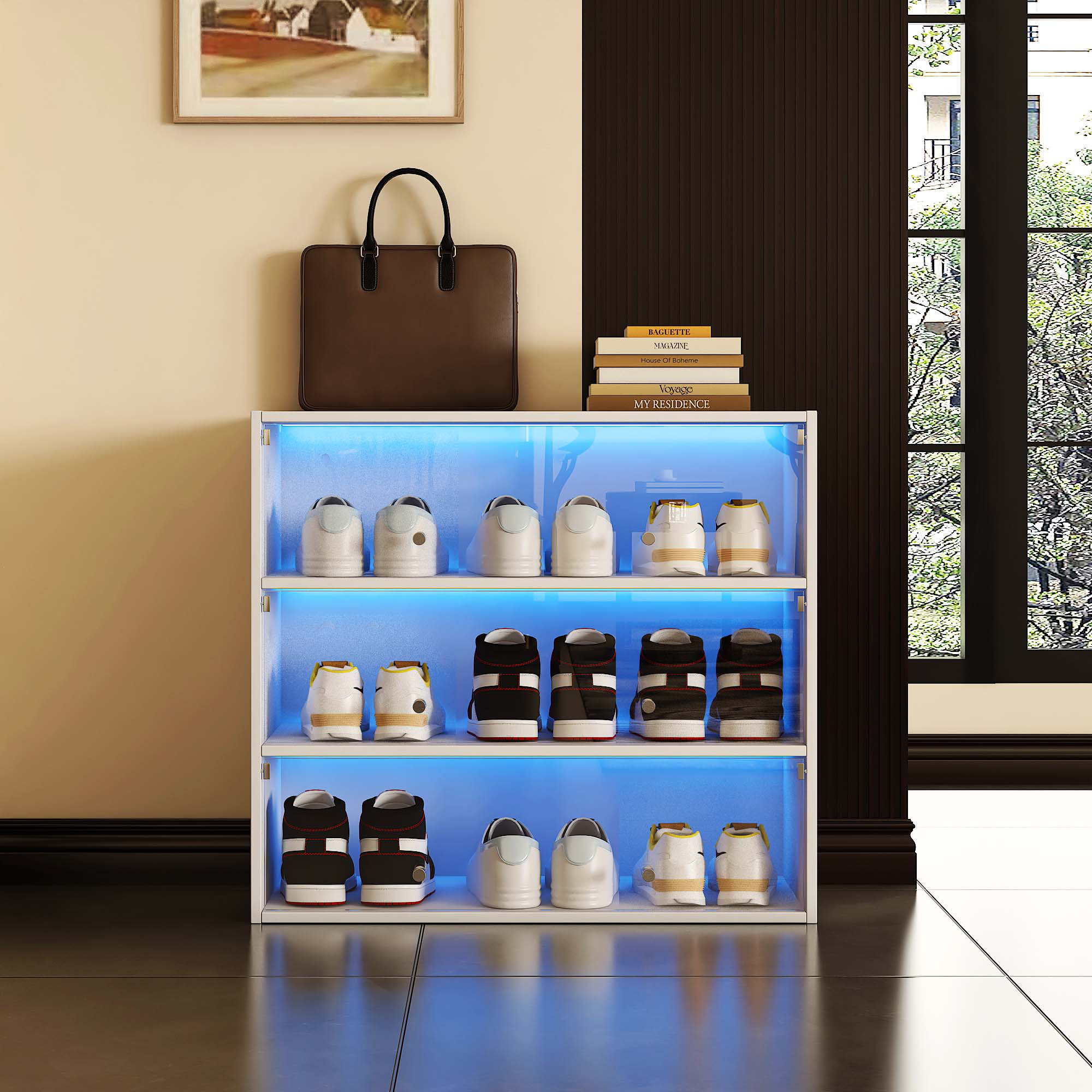 Ophelia & Co. Black Glass Door Shoe Box Shoe Storage Cabinet With RGB ...