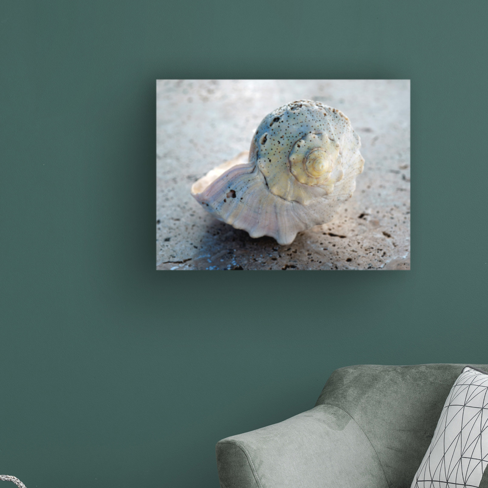 Highland Dunes Elena Ray 'Gifts Of The Shore XIX' Canvas Art - Wayfair ...