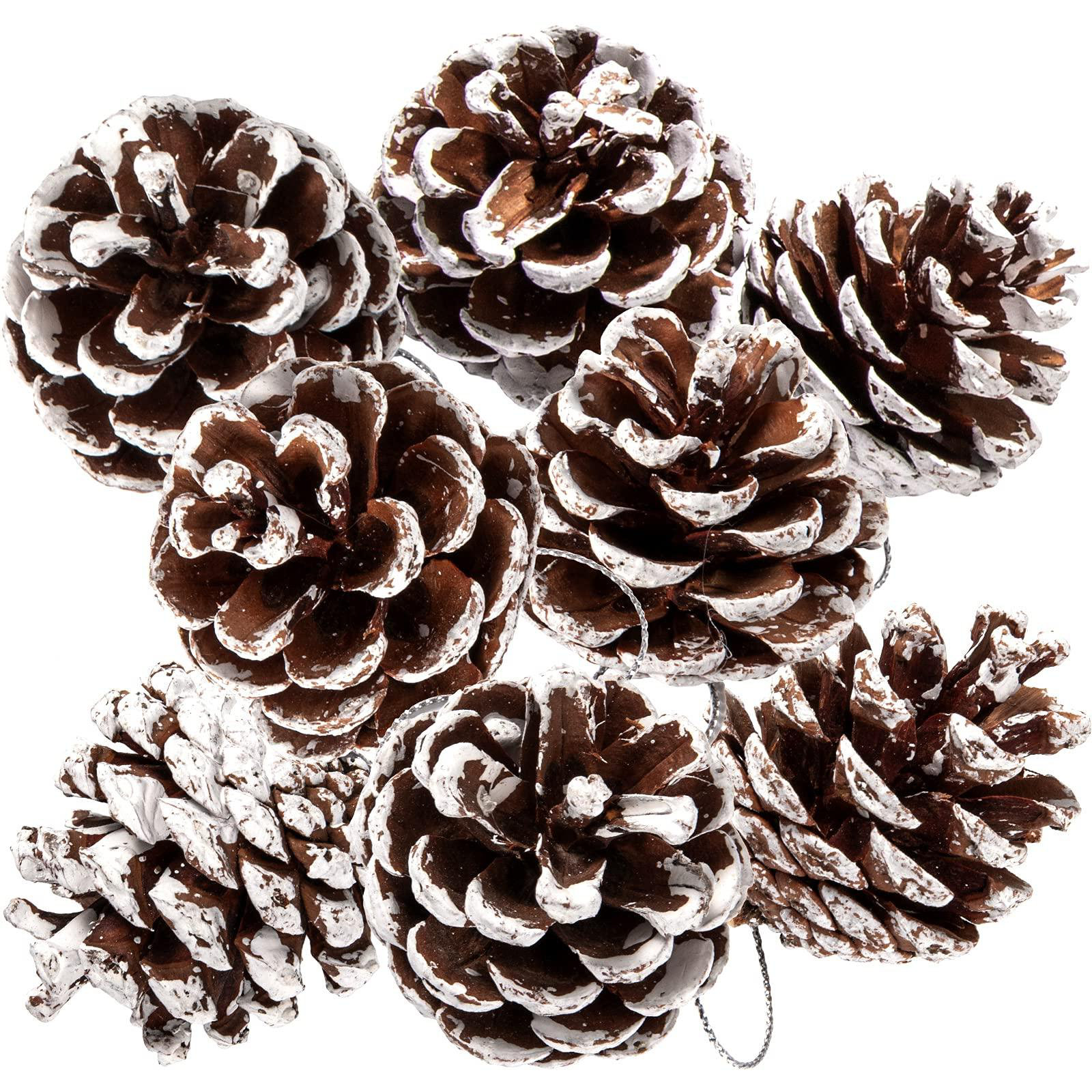 The Holiday Aisle® 25Pcs Christmas Natural Pine Cones Bulk Rustic Snow ...