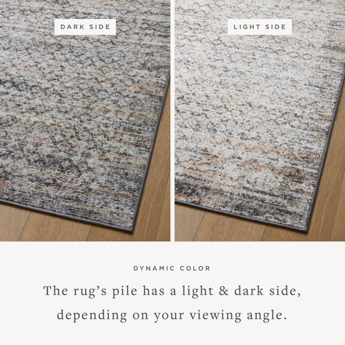 Loloi II Performance Gray Rug | Wayfair