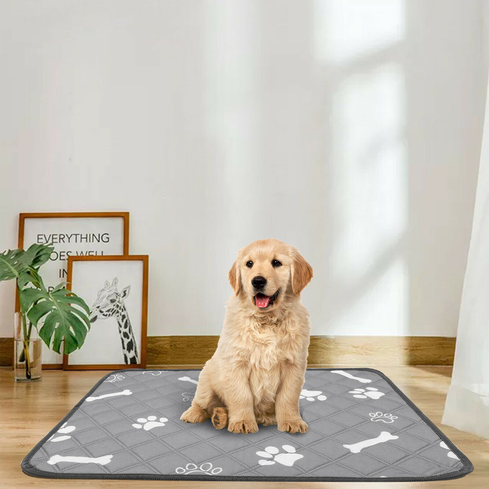Tucker Murphy Pet™ Washable Pet Pee Pad Training Pads - Wayfair Canada