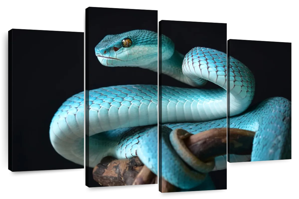 Ebern Designs Brampt Blue Sunda Island Pitviper | Wayfair