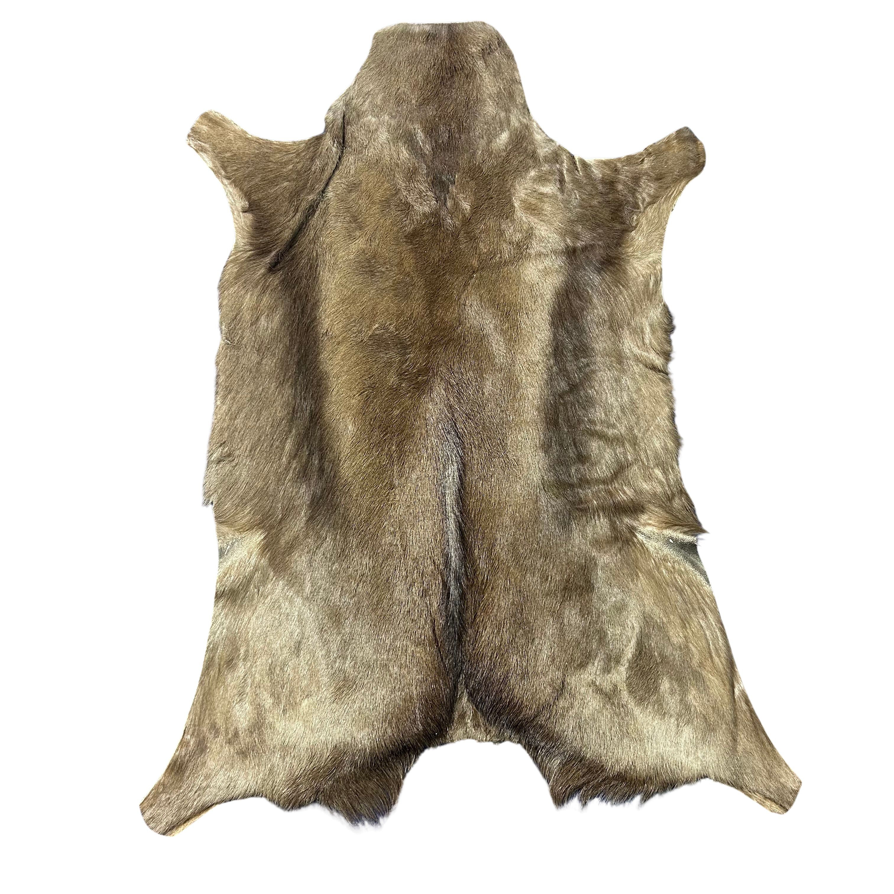 Foundry Select Naturally Black Springbok Skin, Brown | Wayfair