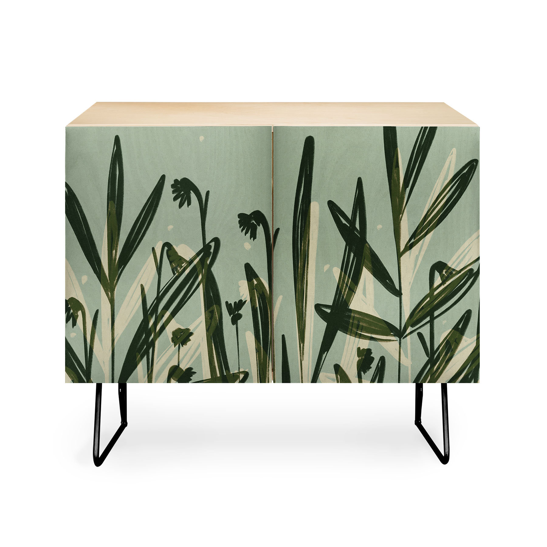 Wildon Home® Bendooragh 2 - Door Accent Cabinet | Wayfair