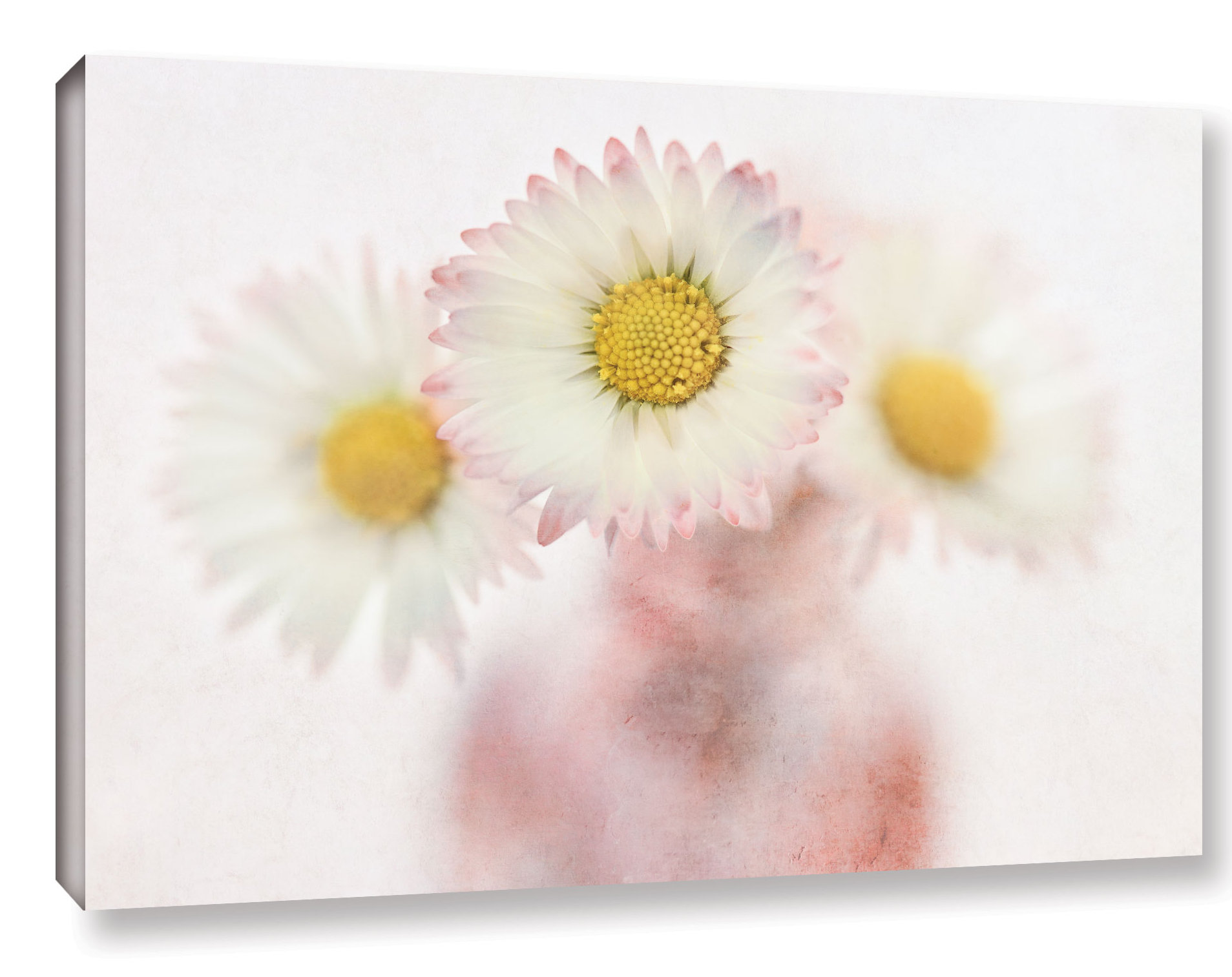 Latitude Run® Daisies Light Airy Photographic Print on Wrapped Canvas ...