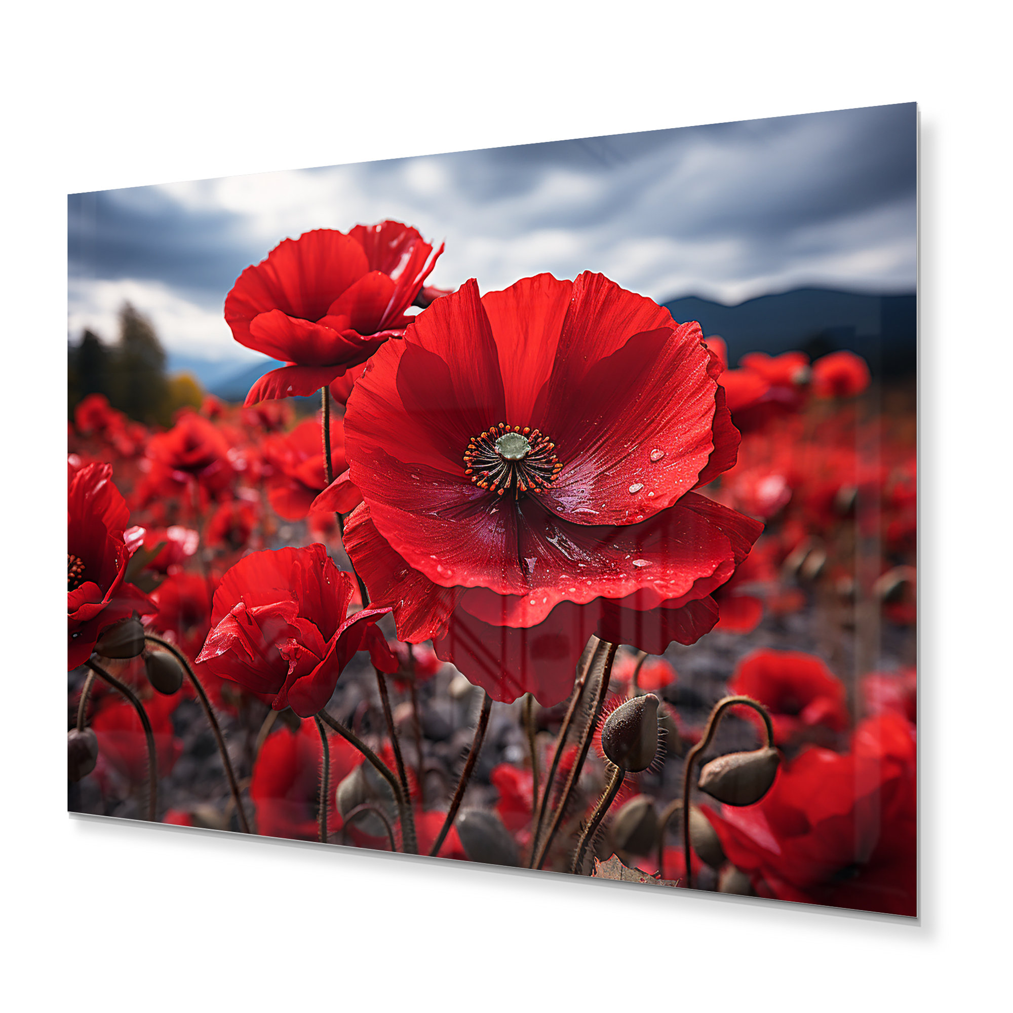 Ebern Designs Flower Field Crimson Poppies - Floral Metal Wall Decor ...