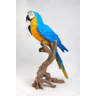Hi-Line Gift Ltd. Macaw Statue & Reviews | Wayfair