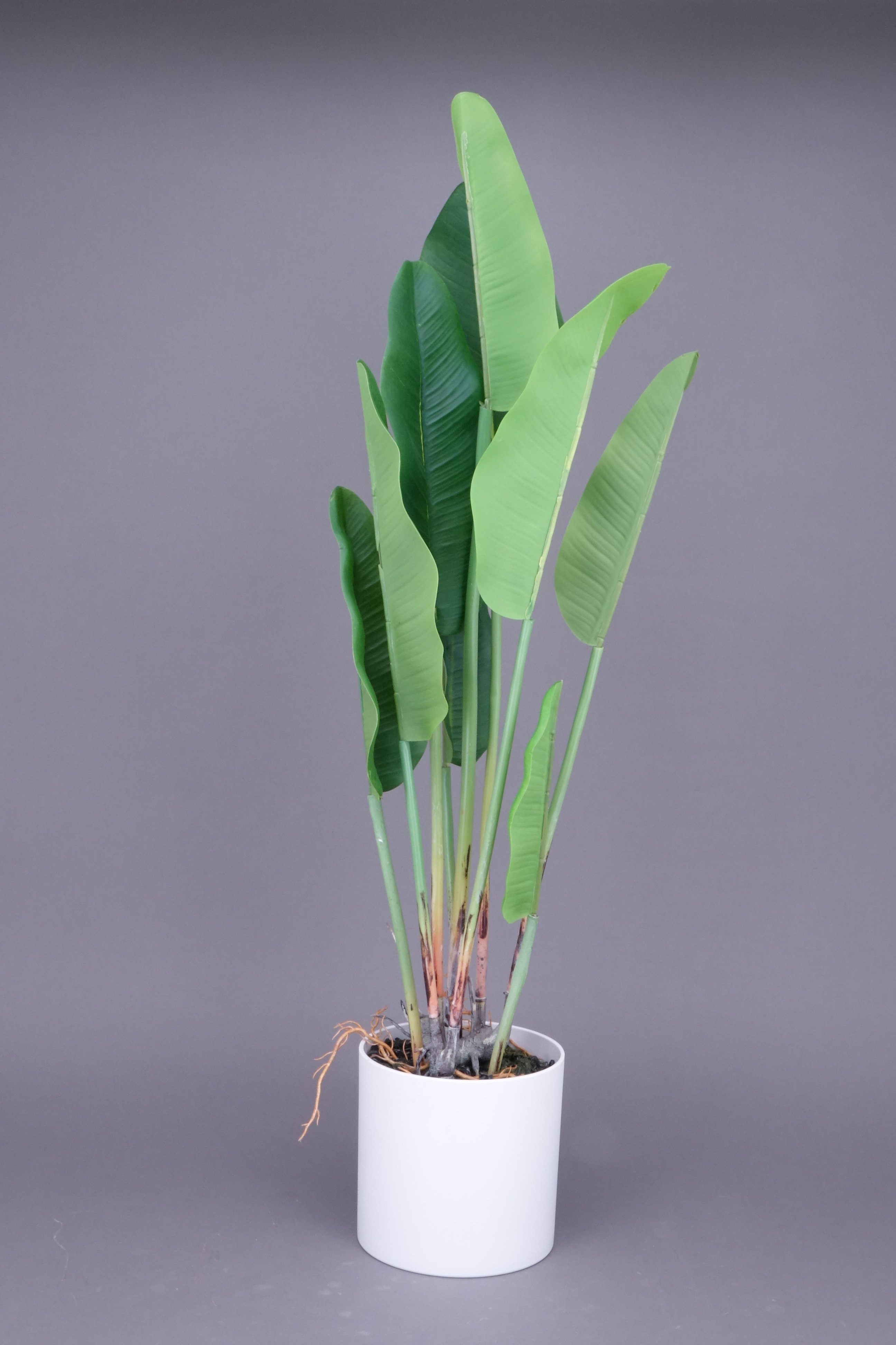 Primrue 35" Artificial Banana Leaf Plant in Pot | Wayfair