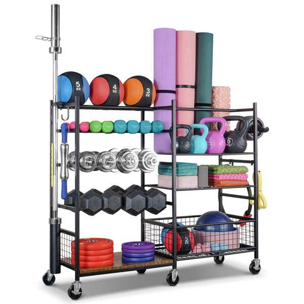 WFX Utility™ Metal Freestanding Multi-Use Sports Rack & Reviews | Wayfair