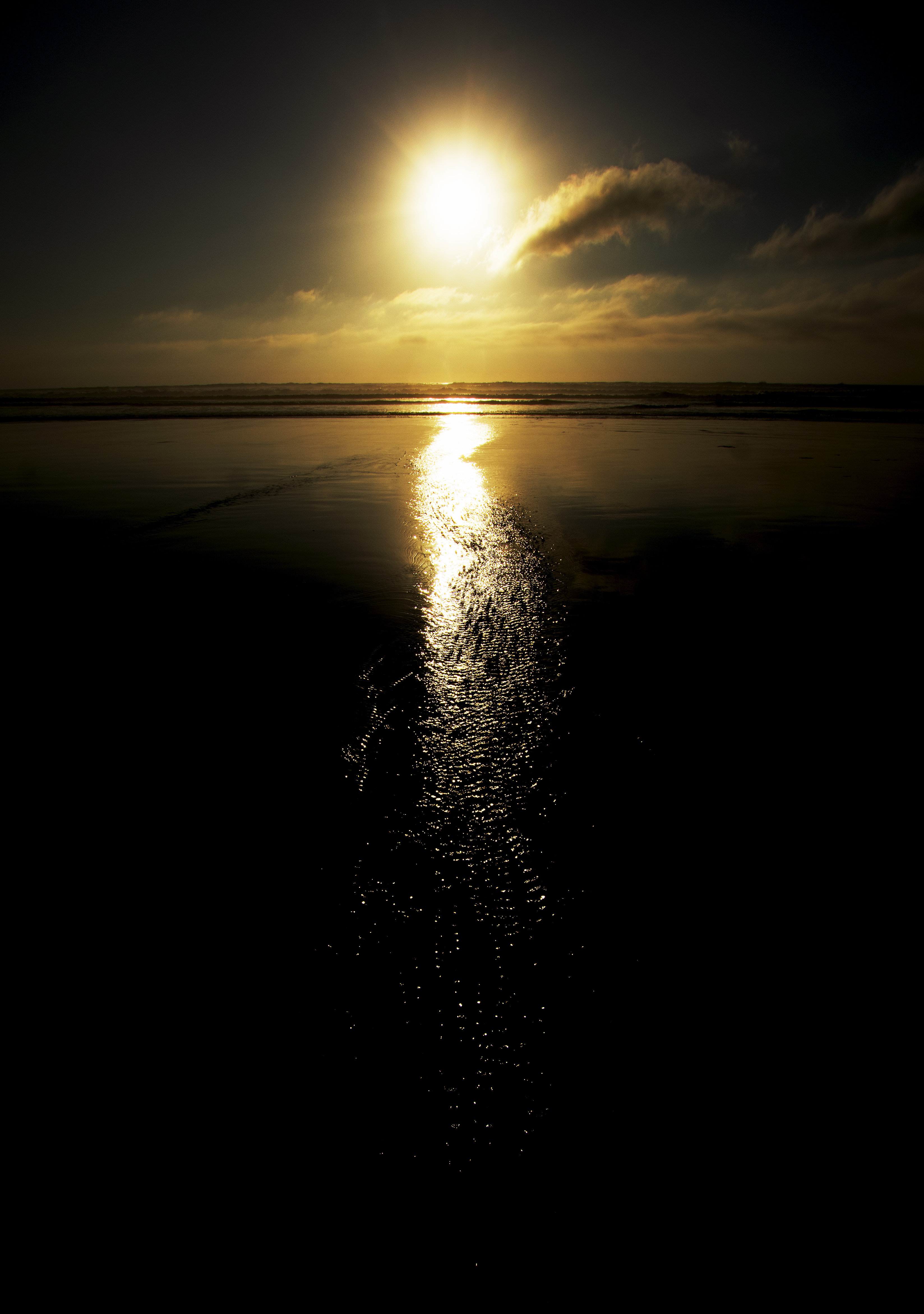 Made & Curated Sun Tail By Catherine Johns | Wayfair