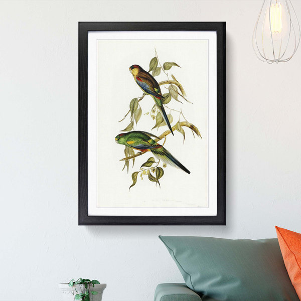 East Urban Home Colourful Parakeets by Elizabeth Gould - Picture Frame ...